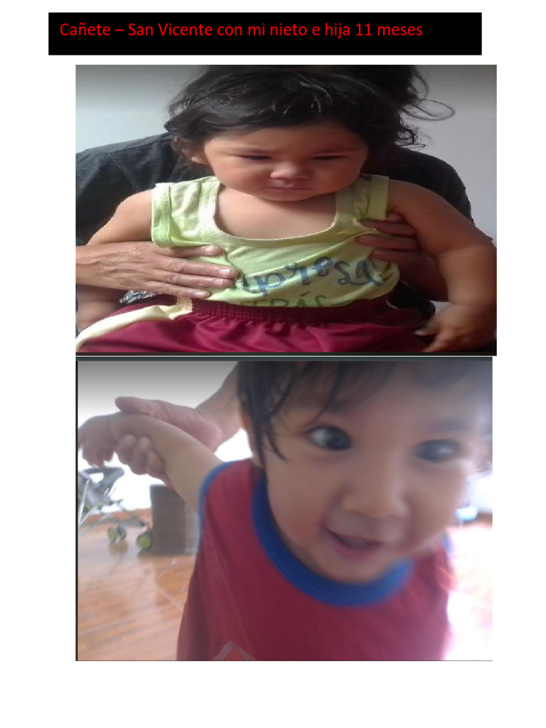 Todas Las Fotos Pedrito | PDF