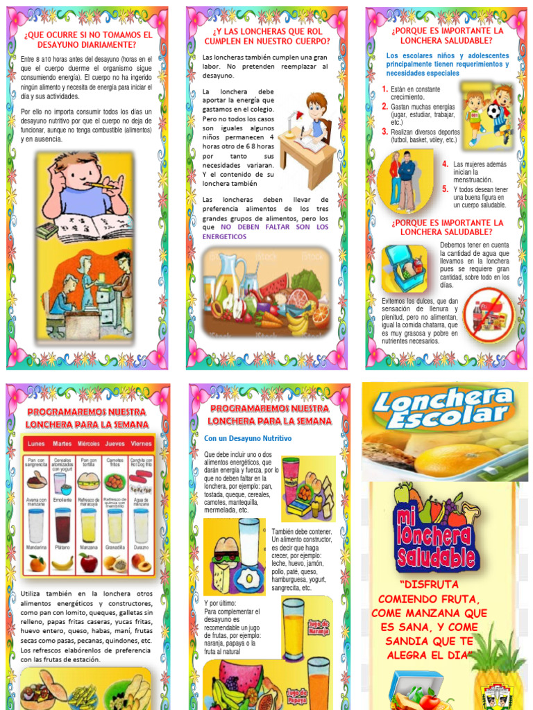 Triptico-Lonchera Saludable | PDF | Cocina | Alimentos