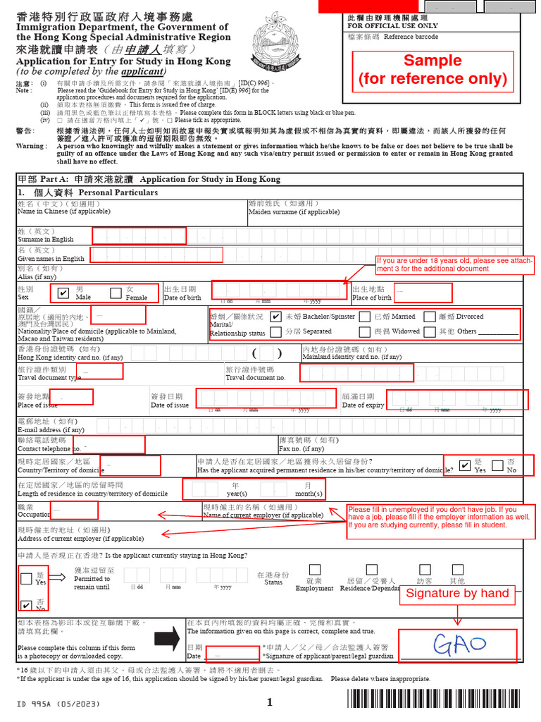 Sample Visa Form | PDF