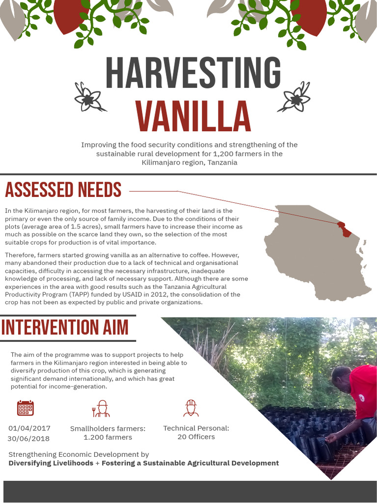 Vanilla Project Infographic Report | PDF | Vanilla | Agriculture
