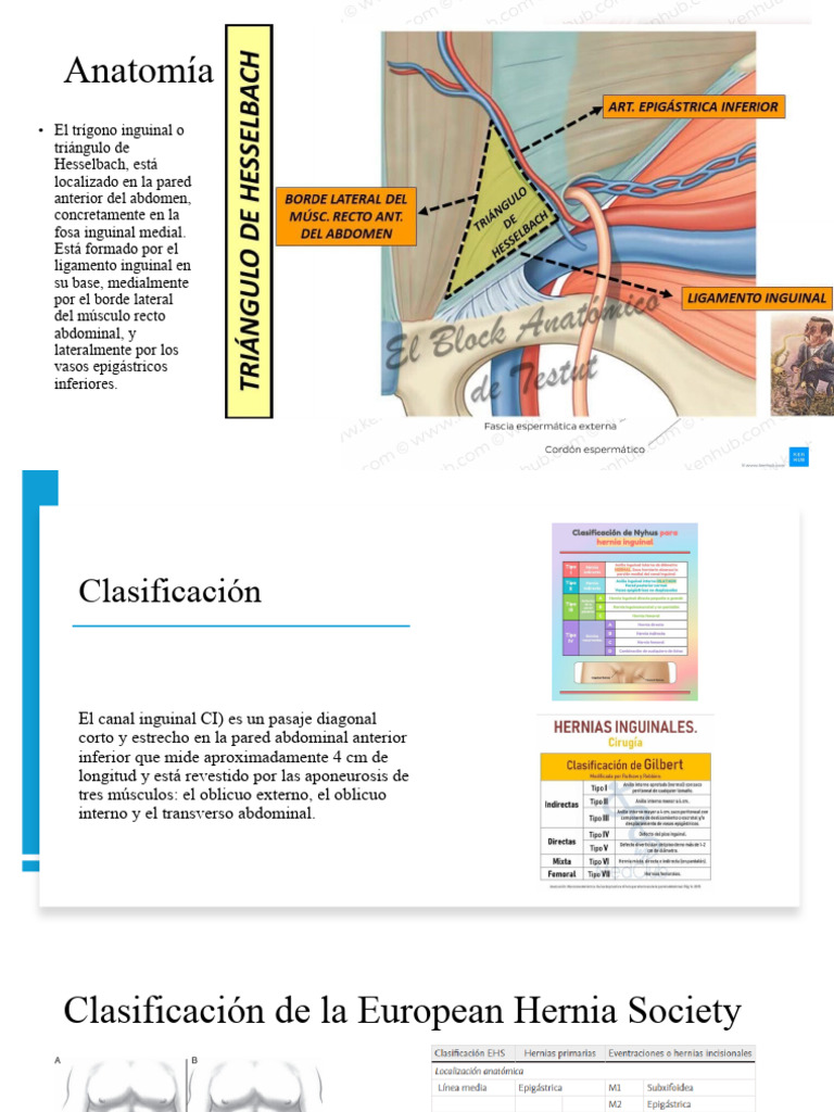 Hernias | PDF | Abdomen