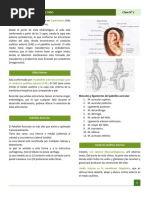 Otoscopia Normal | PDF | Oído | Anatomía