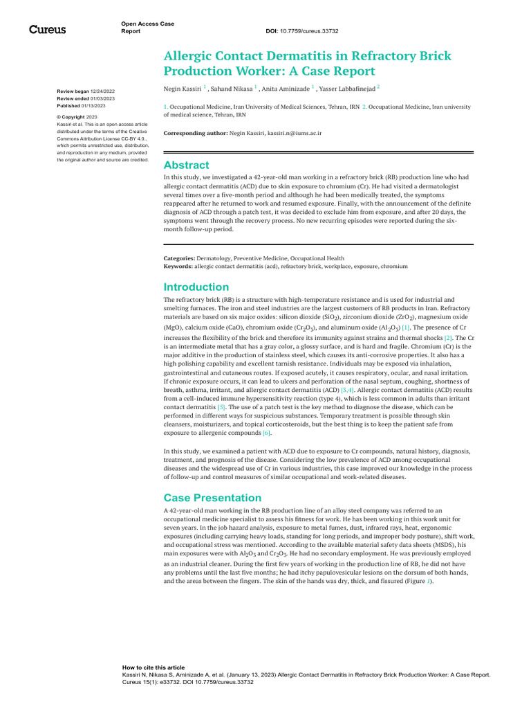 Allergic Contact Dermatitis in Refractory Brick Case Report | PDF ...