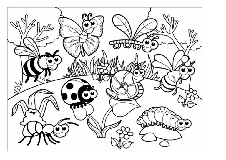 Hoja de Trabajo Insectos | PDF