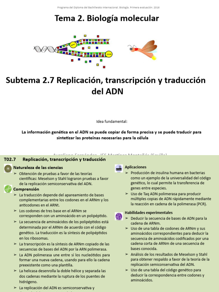2 - 7 - Replicación - Transcripción y Traducción Del ADN | PDF | Traducción (biología) | Rna