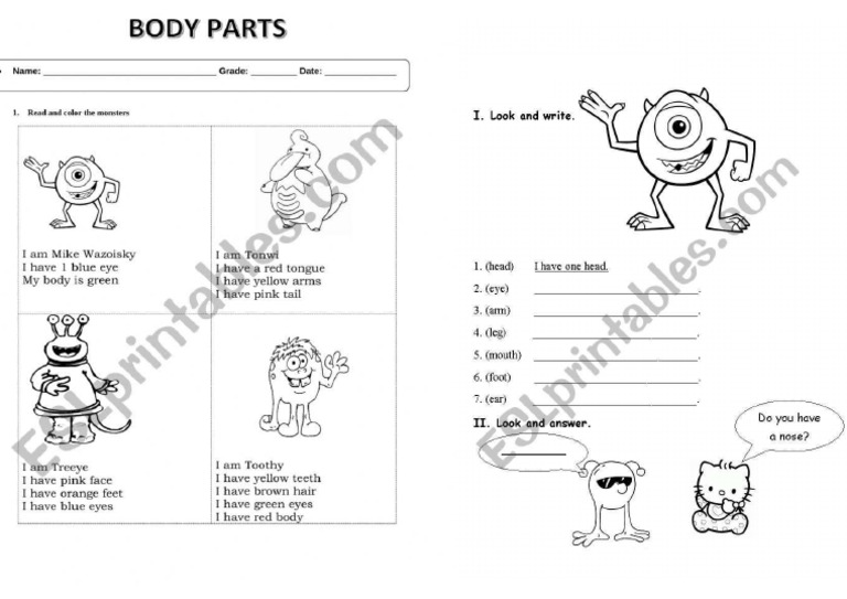 Parts of The Body 2 | PDF