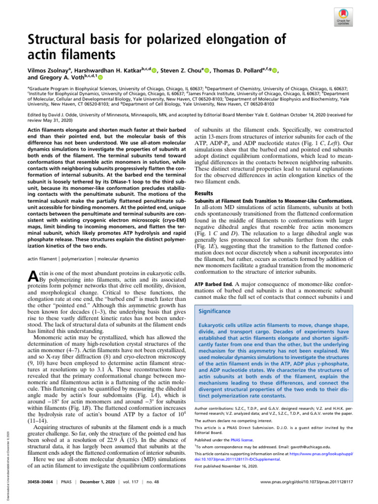 Structural Basis For Polarized Elongation of Actin Filaments | PDF ...
