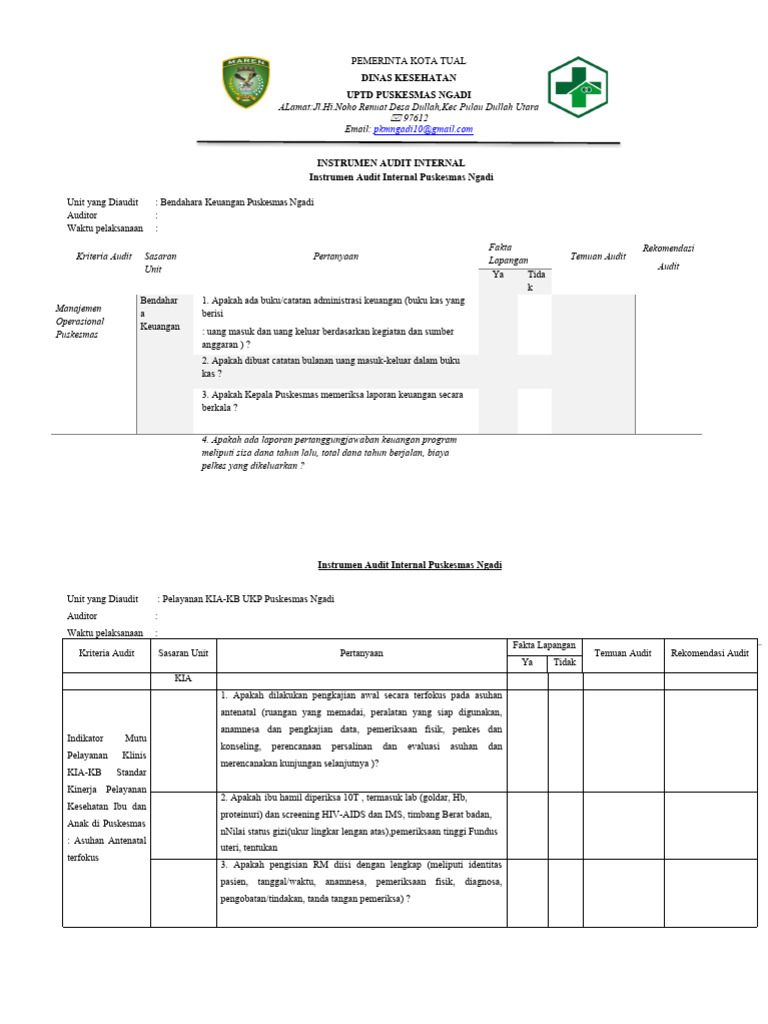 Instrumen Audit Internal Puskesmas 2025 | PDF