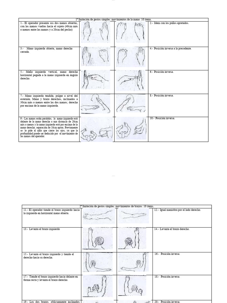 Imitación de Gestos Simples Pick y Vayer | PDF