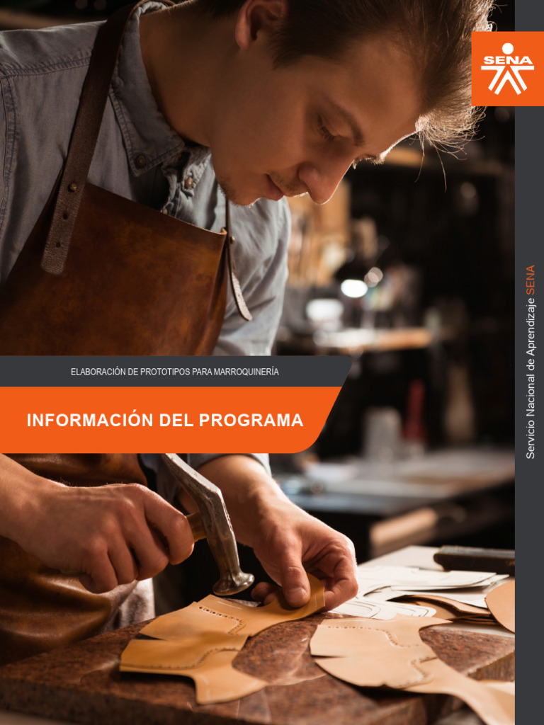 Informacion Programa | PDF | Cuero