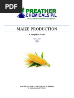 Crop Growth Chart - Maize: Stage VE V2 V5 V8 V12 V16 R1 R5 | PDF