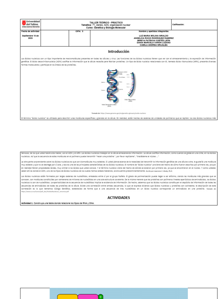 Genes y ADN: Taller Genética 2023 | PDF | Ácidos nucleicos | Adn