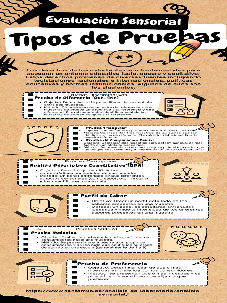Infografía Tipos de Prueba | PDF