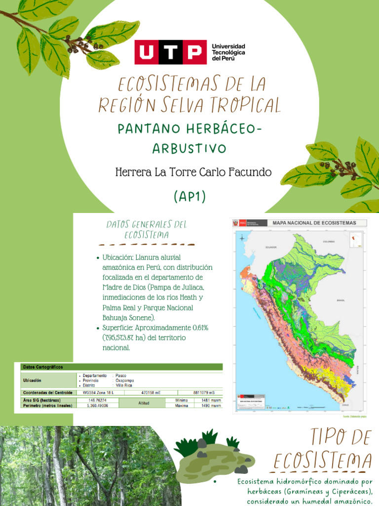 Ecosistemas de La Región Selva Tropical | PDF | Biodiversidad | Ecosistema