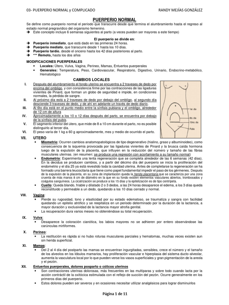 03 - Puerperio Normal y Complicado | PDF | Periodo posparto | Parto