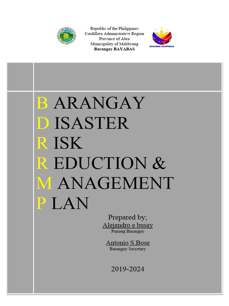 Approved BDRRM Plan | PDF | Disaster Risk Reduction | Emergency Management