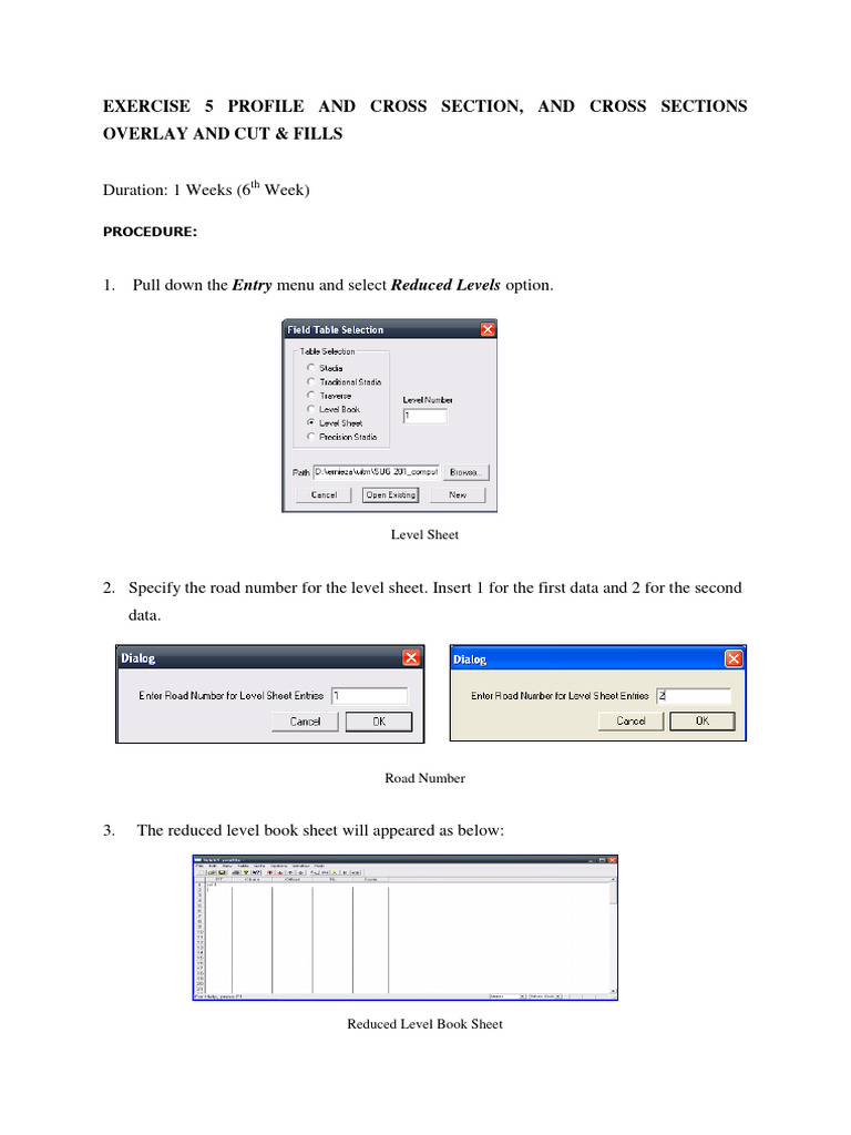 EXERCISE 5 - Profile & Cross Section and Cross Sections Overlay & Cut and Fills | PDF | Auto Cad ...