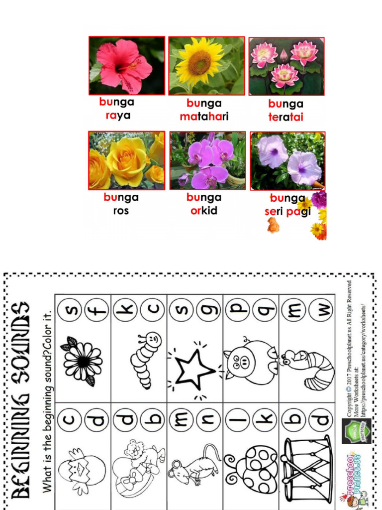 Minggu 14 Bunga Prasekolah | PDF