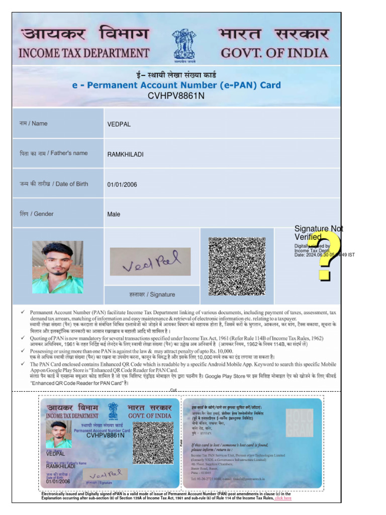 Digital PAN Verification Guide | PDF