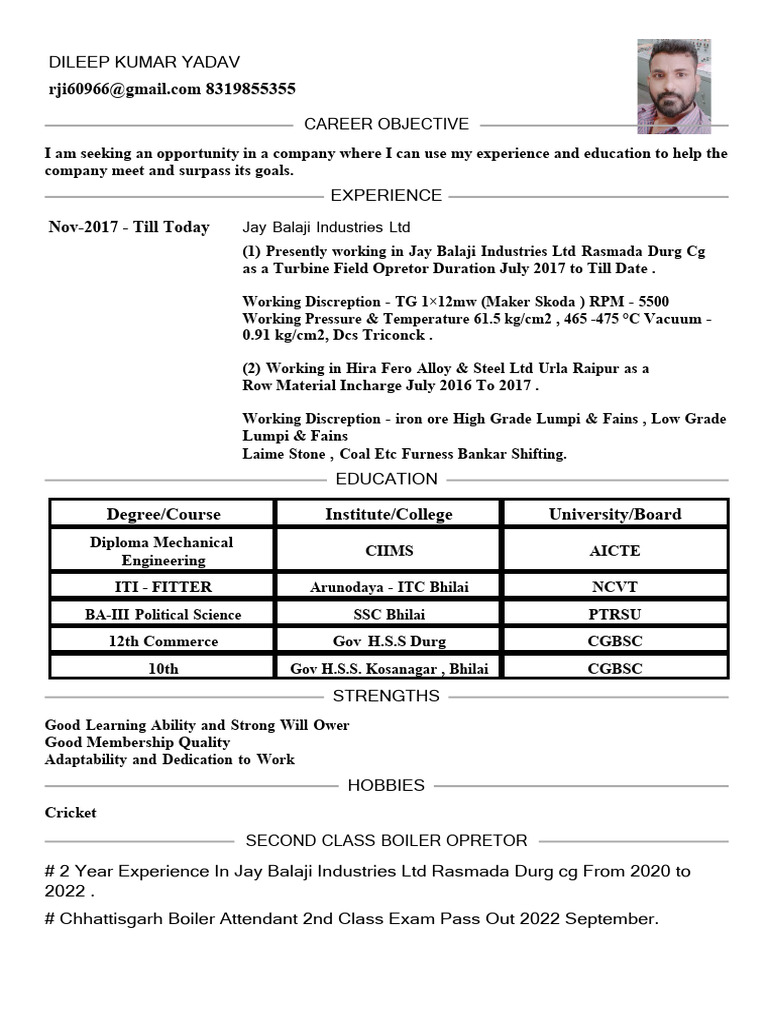Resume DK Format3 | Download Free PDF | Materials