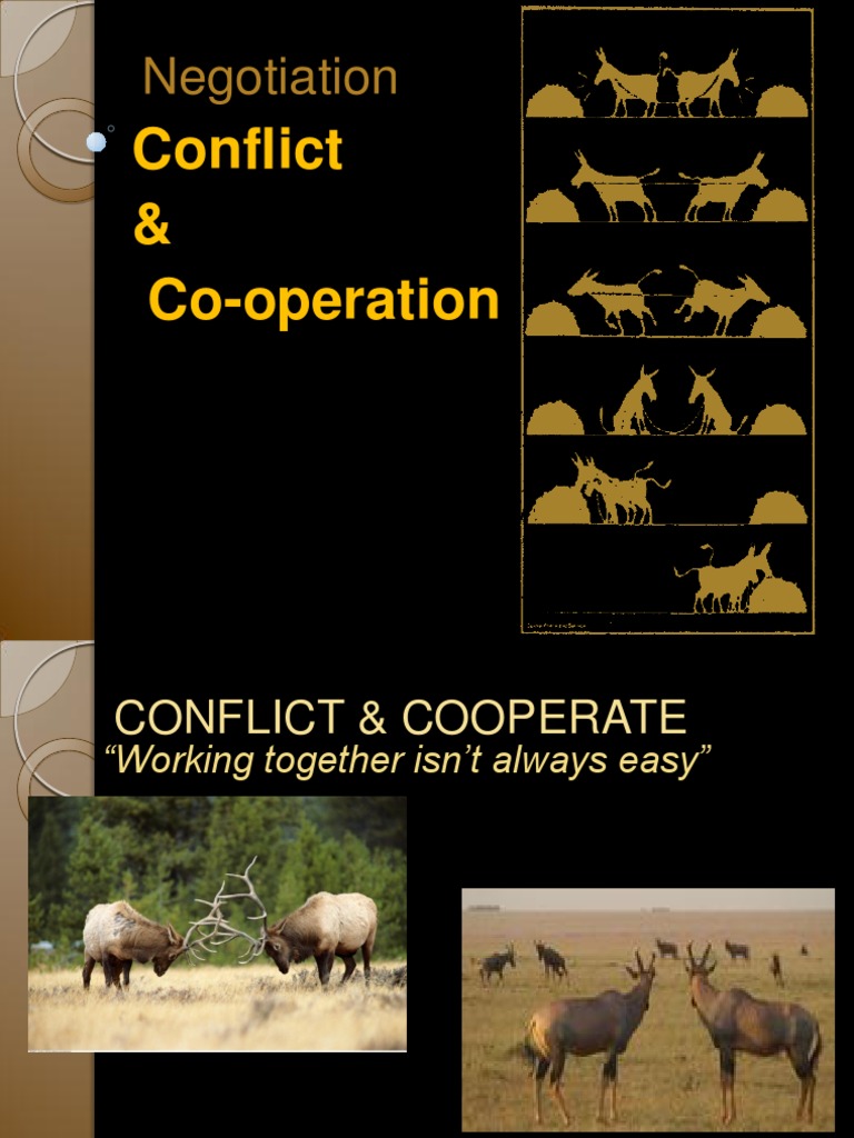 Conflict & Cooperation Strategies | PDF