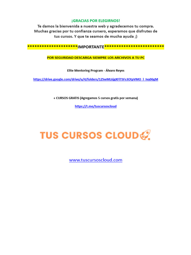 Elite Mentoring Program Alvaro Reyes Ff0sin | PDF