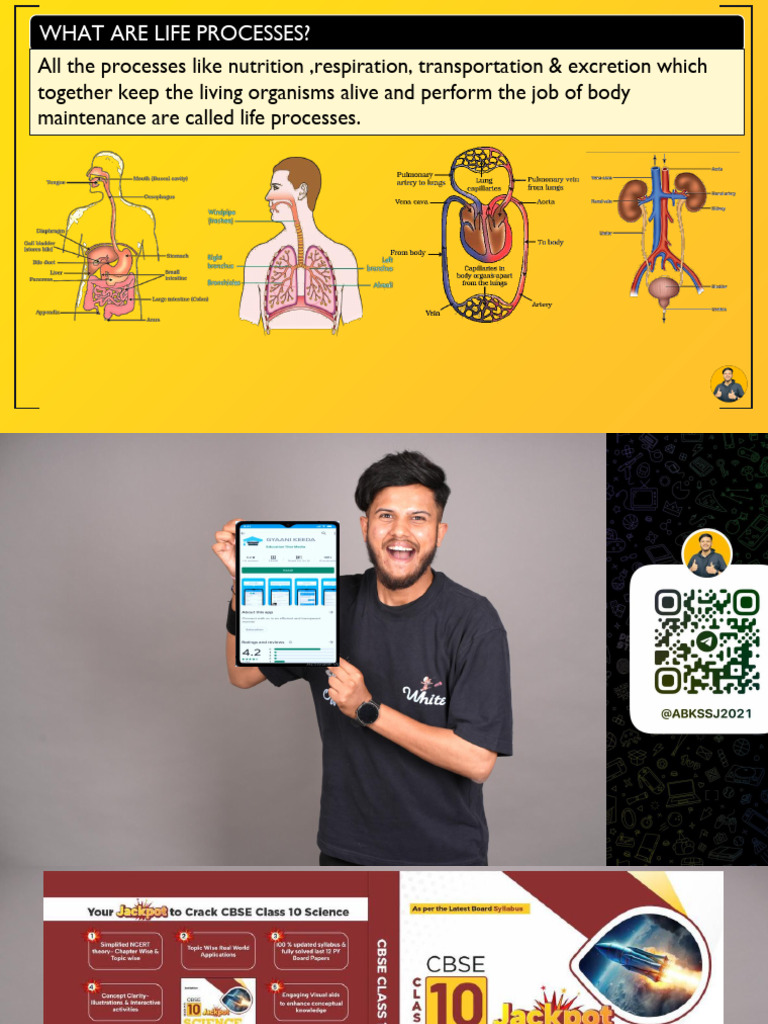 CH-5 Life Processes | Download Free PDF | Respiratory Tract | Blood