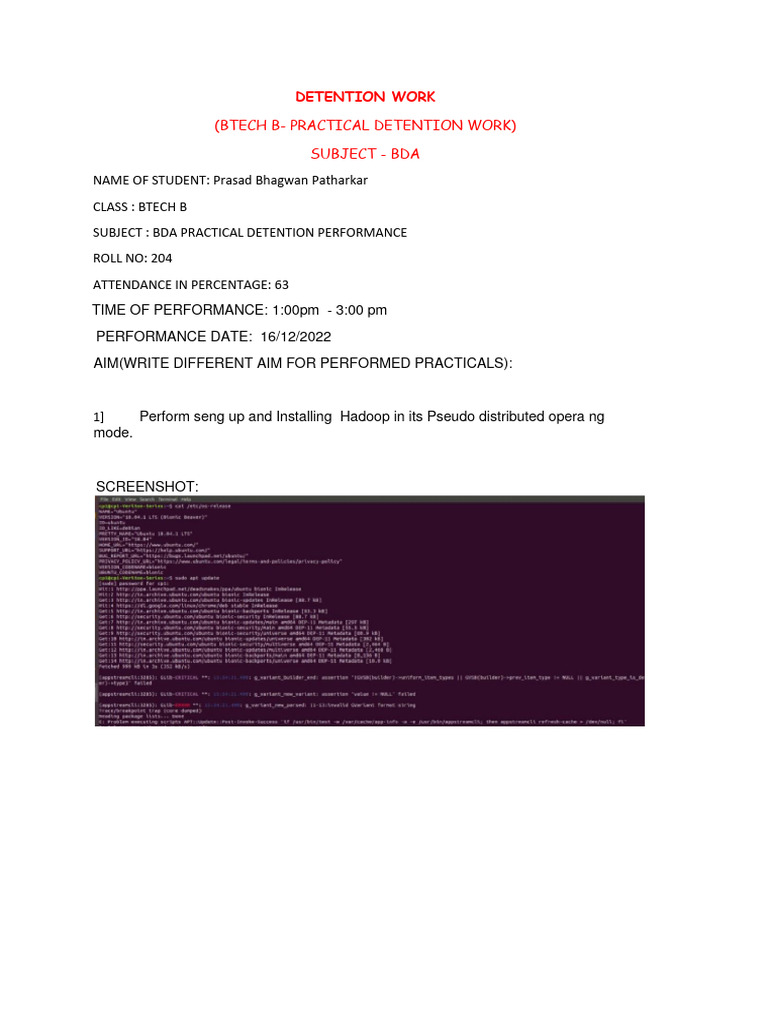 BDA Practical Detention Tasks | PDF