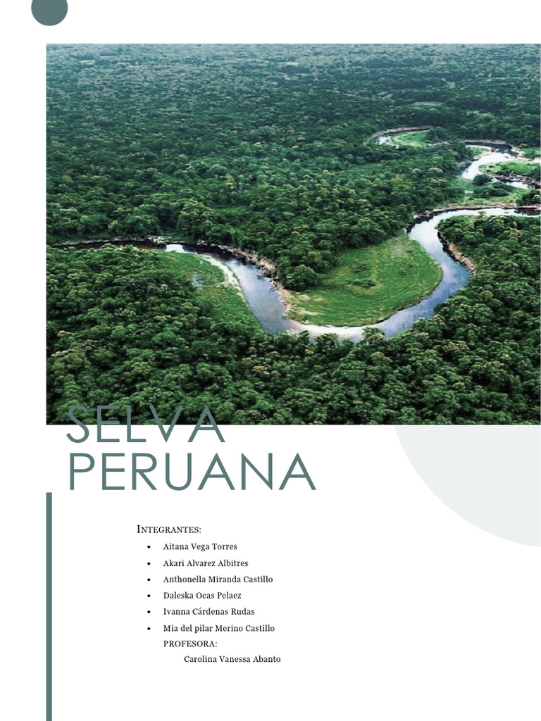 Selva | PDF | Selva | Perú