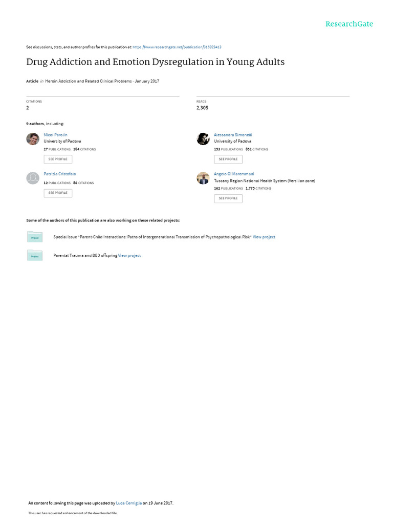 Parolin 2017 - Drug Addiction and Emotional Dysregulation | PDF | Adolescence | Emotional ...