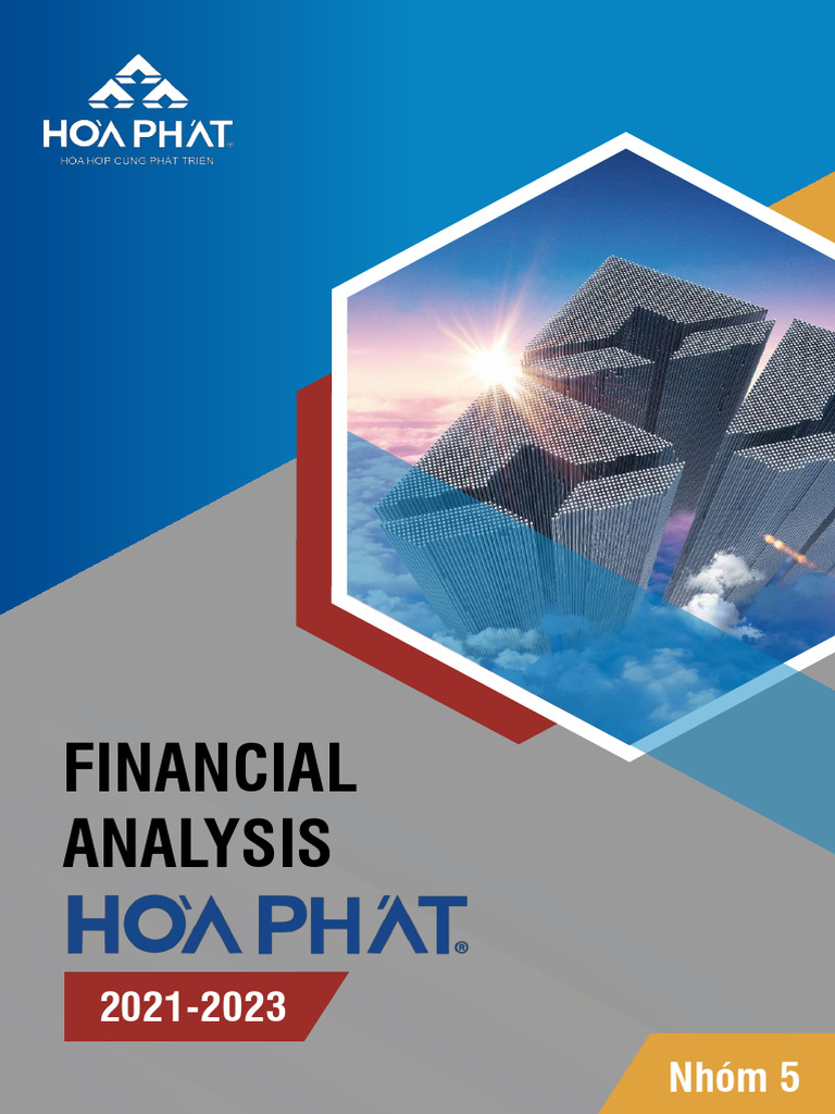 Financial Analysis Hòa Phát - Demo | PDF