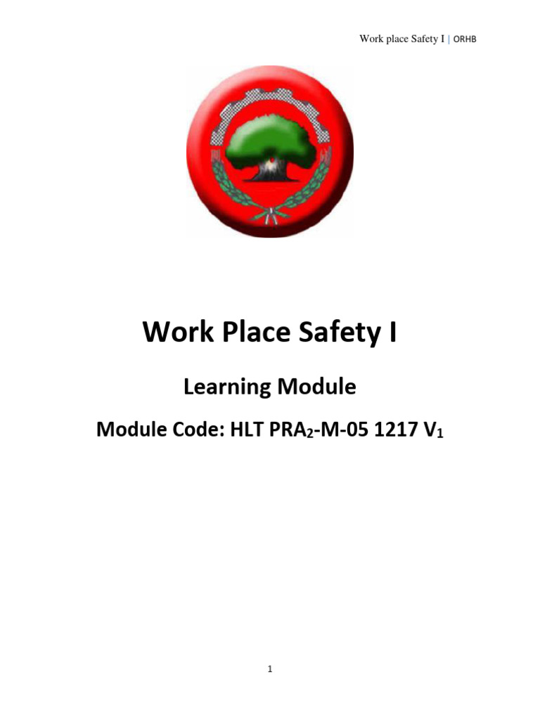 PRA-Learning Module - Work Place Safety I | PDF | Burn | First Aid