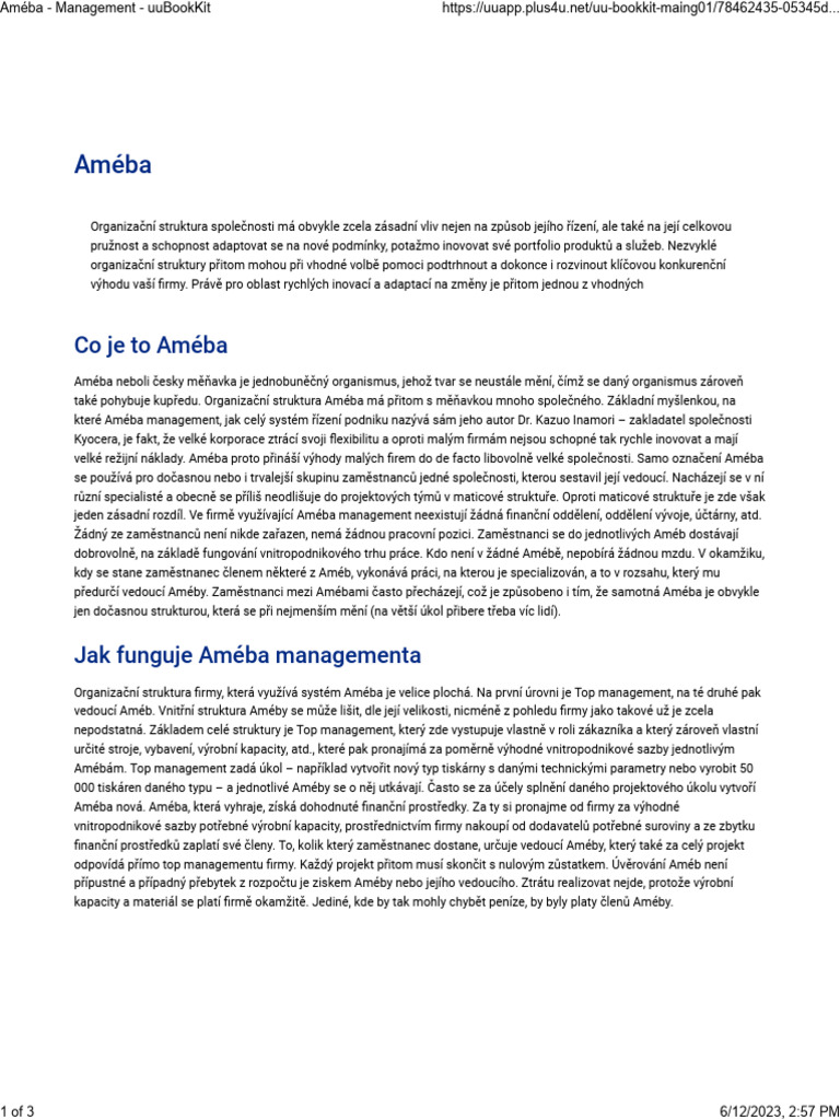 Améba - Management - uuBookKit | PDF