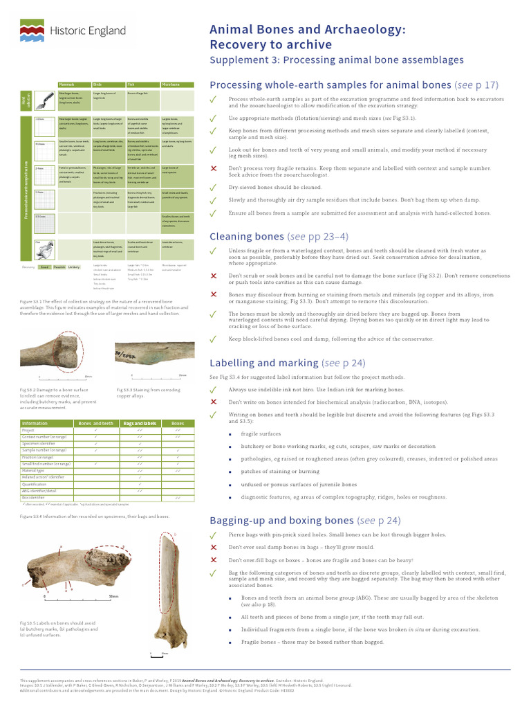 Animal Bones and Archaeology Supplement 3 - Processing Animal Bone ...