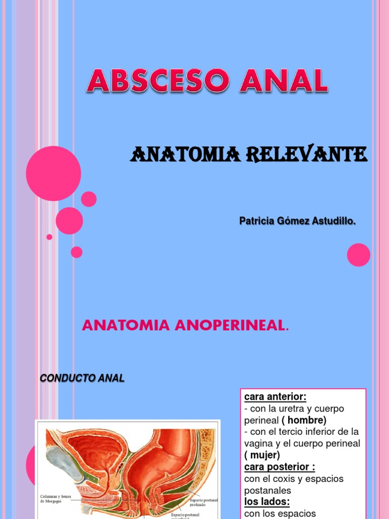 Anatomía y Abscesos Anorrectales | PDF