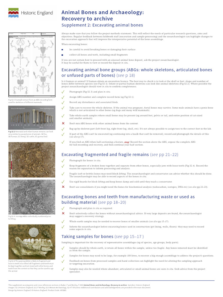 Animal Bones and Archaeology Supplement 2 - Excavating Animal Bones ...