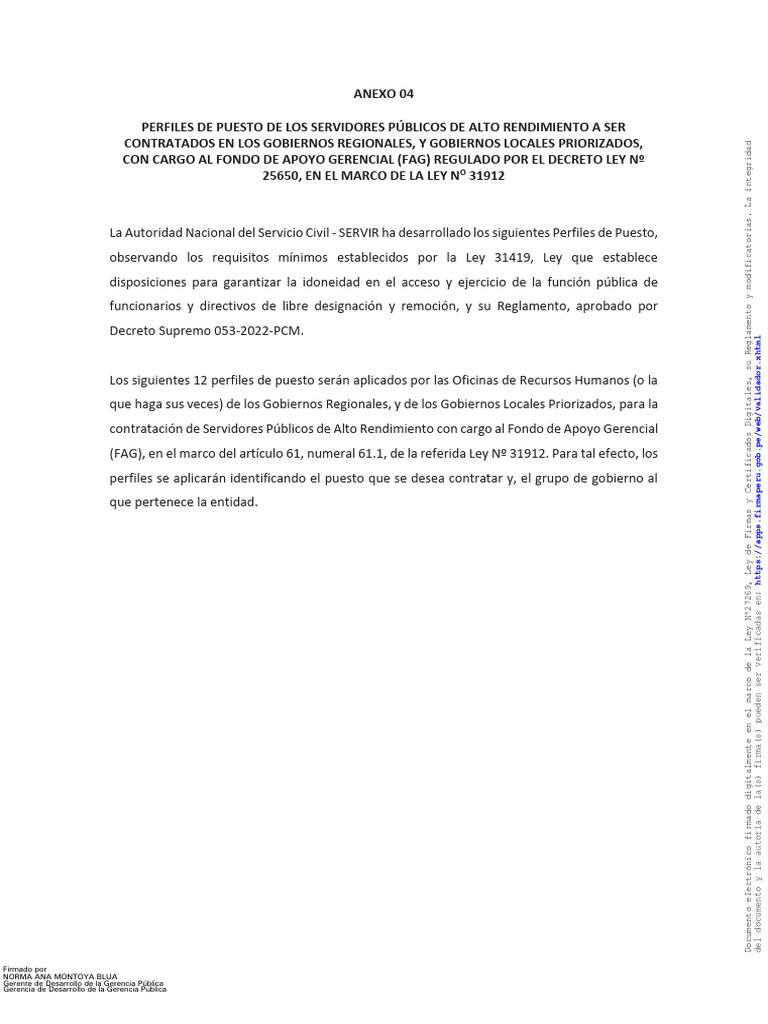 Anexo N 04 Perfil de Directivos Fag | PDF | Licenciatura | Administración Pública