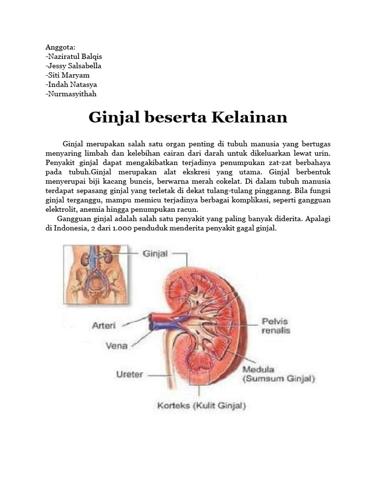 Ginjal Beserta Kelainan | PDF | Sains & Matematika