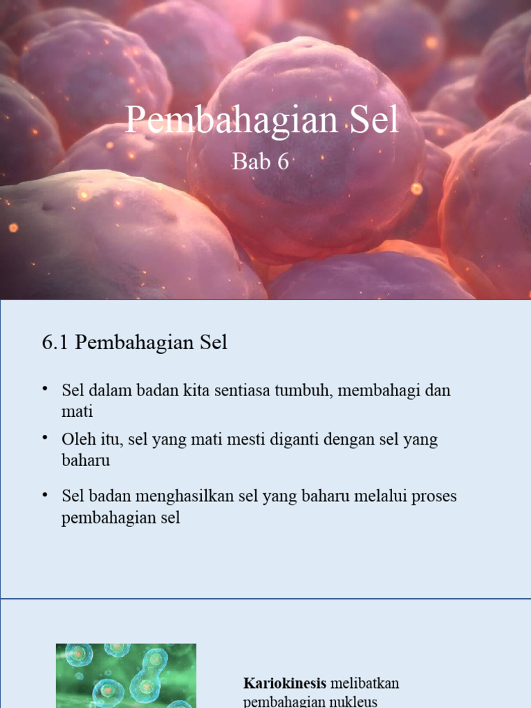 Pembahagian Sel Kump.2 | PDF