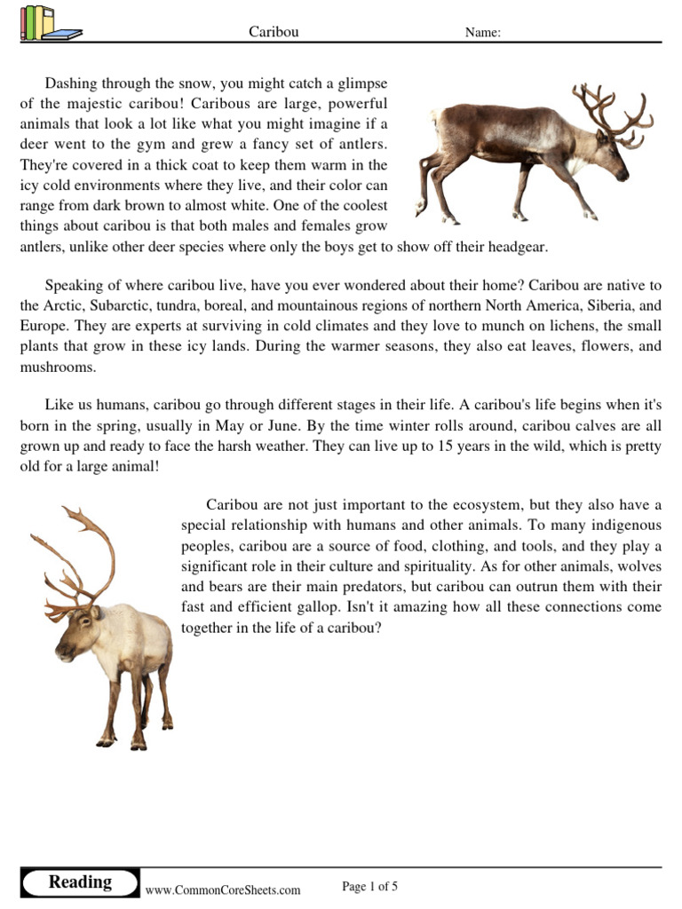 Comprehension | Download Free PDF | Reindeer | Deer