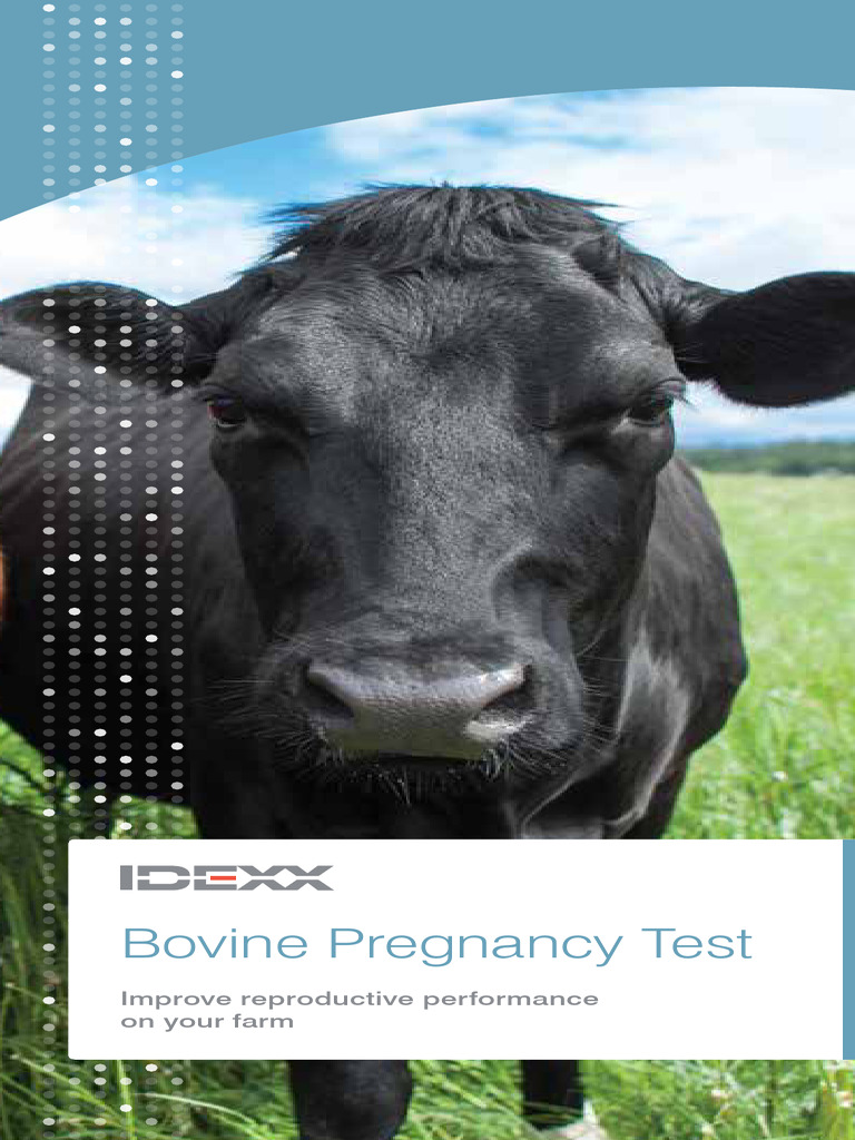 09-82123-00 - Bovine Pregnancy Brochure - Beef - NA | PDF | Cattle ...