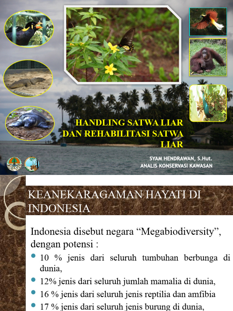 East Java Fauna | PDF