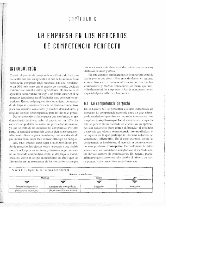 Comportamiento en Mercados Competitivos | PDF | Mercado (economía ...