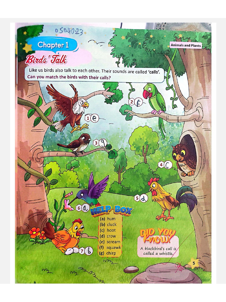 Grade 1 GK Worksheet | PDF