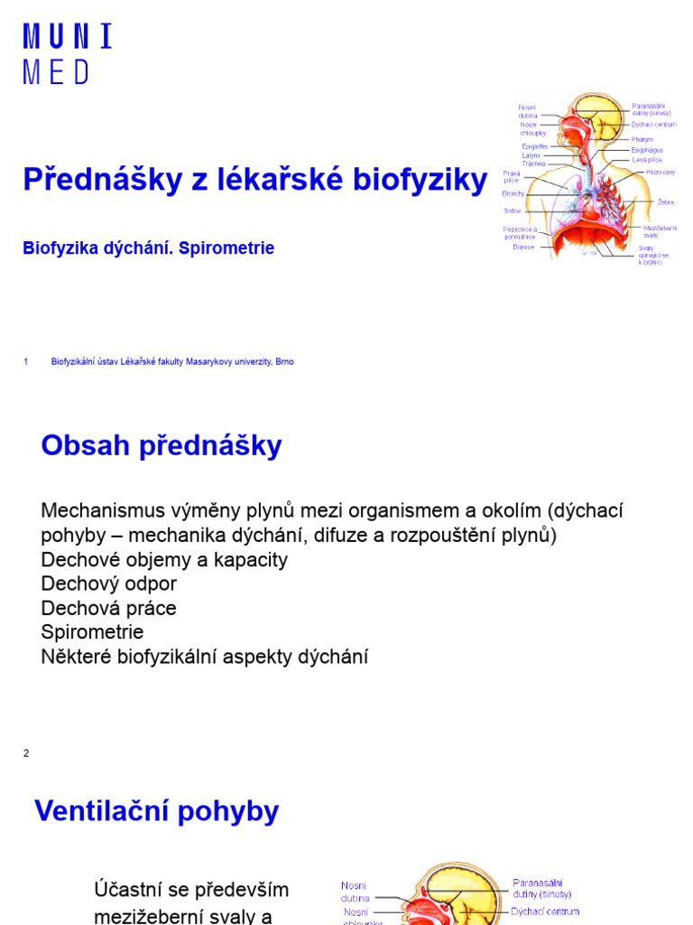 MUNI Biofyzika Dýchání | PDF