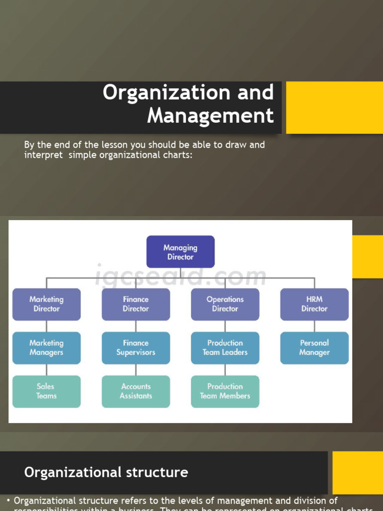 Organizational Structure and Management | PDF | Organizational ...