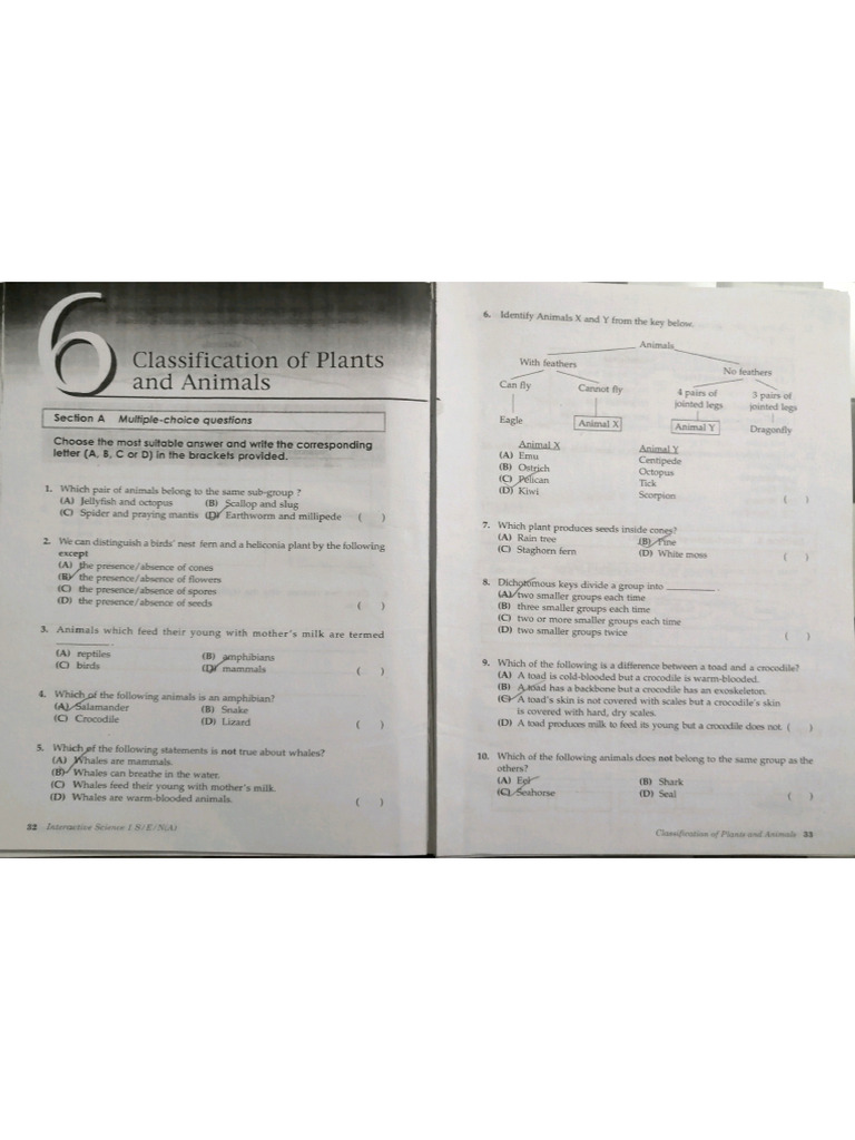 Science Workbook 1 | PDF