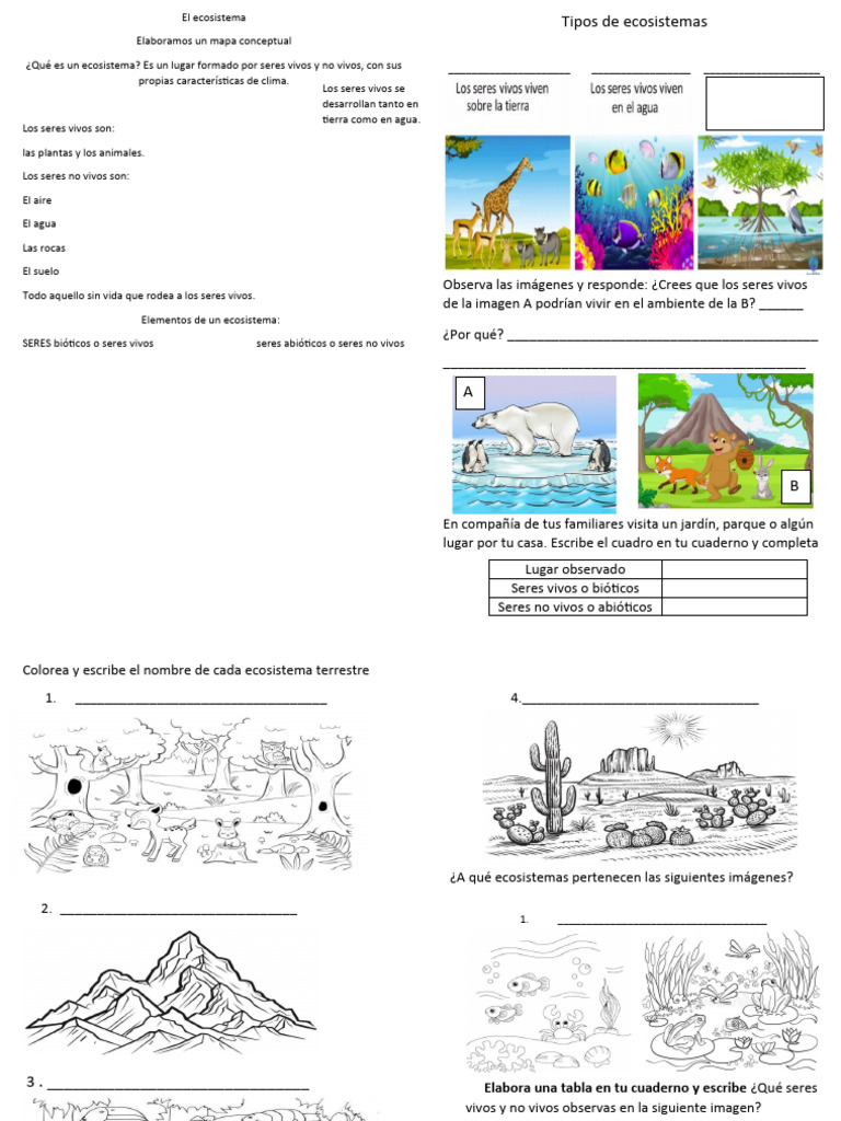 Hojas De Trabajo De 4to Grado Sobre Ecosistemas Los Ecosistemas | TPT