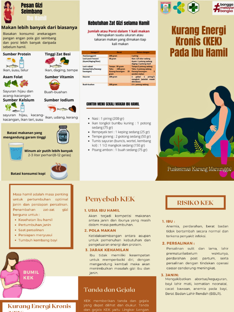 Bumil Kek Leaflet | PDF