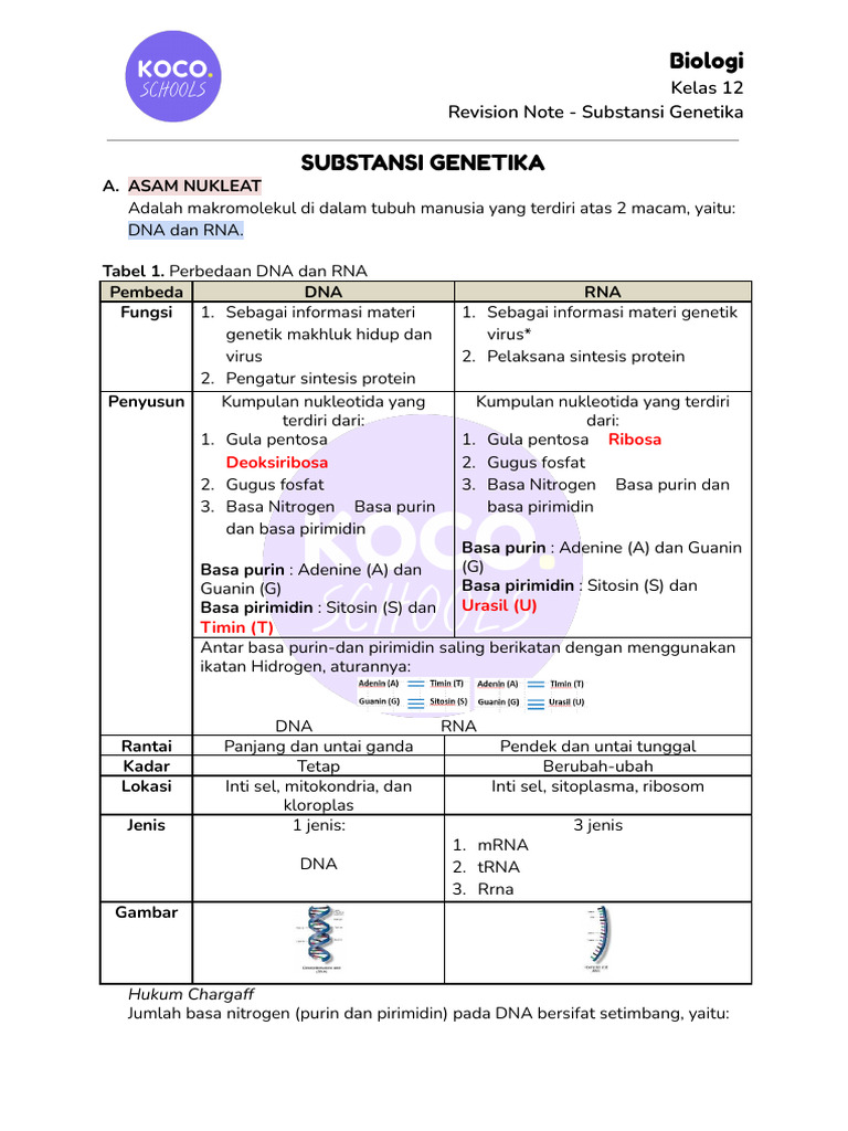 Biologi Kelas 12 - Substansi Genetika | PDF